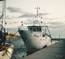 CERCHIAMO PESCHERECCI - MOTOPESCA - BARCHE CON LICENZA DA PESCA